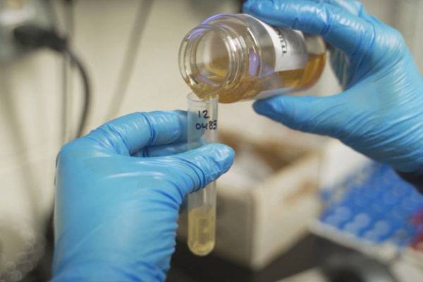 Oil Analysis Services, Lubricant Lab Testing | Trico Corp. | Trico ...